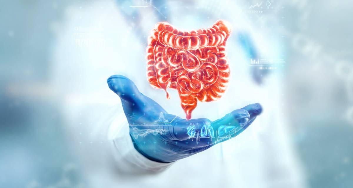 Retossigmoidectomia: o que é, quando é indicada, como é feita e ...