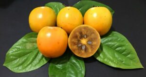 Gabiroba: tipos, para que serve, benefícios e receitas - MundoBoaForma