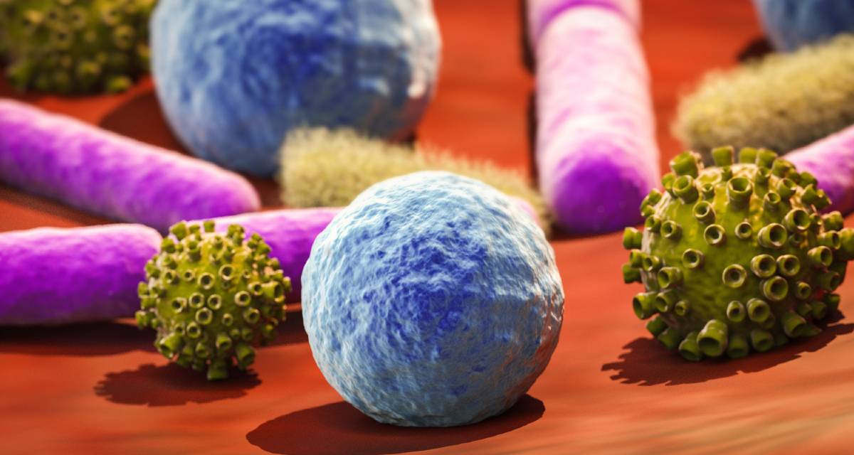 Bacteremia: causas, sintomas e tratamentos - MundoBoaForma