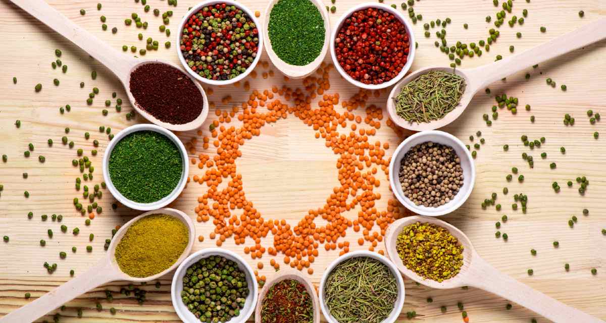 Tempero ou condimento: qual a diferença e como usá-los - MundoBoaForma