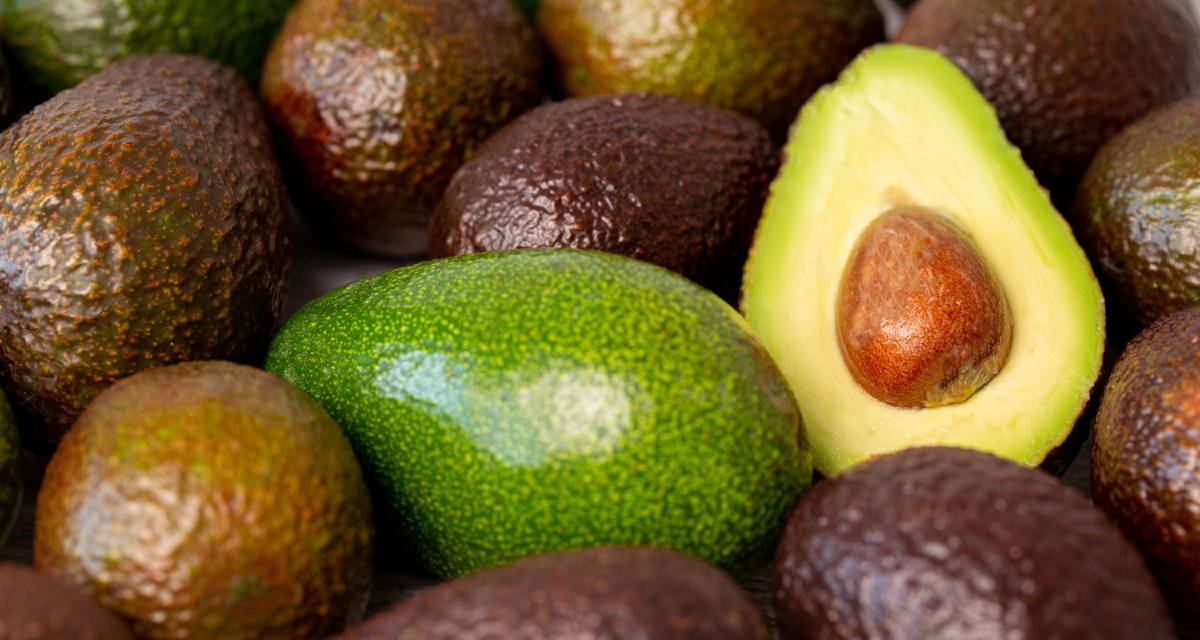 Abacate ou avocado: Qual é o melhor e quais as diferenças? - MundoBoaForma