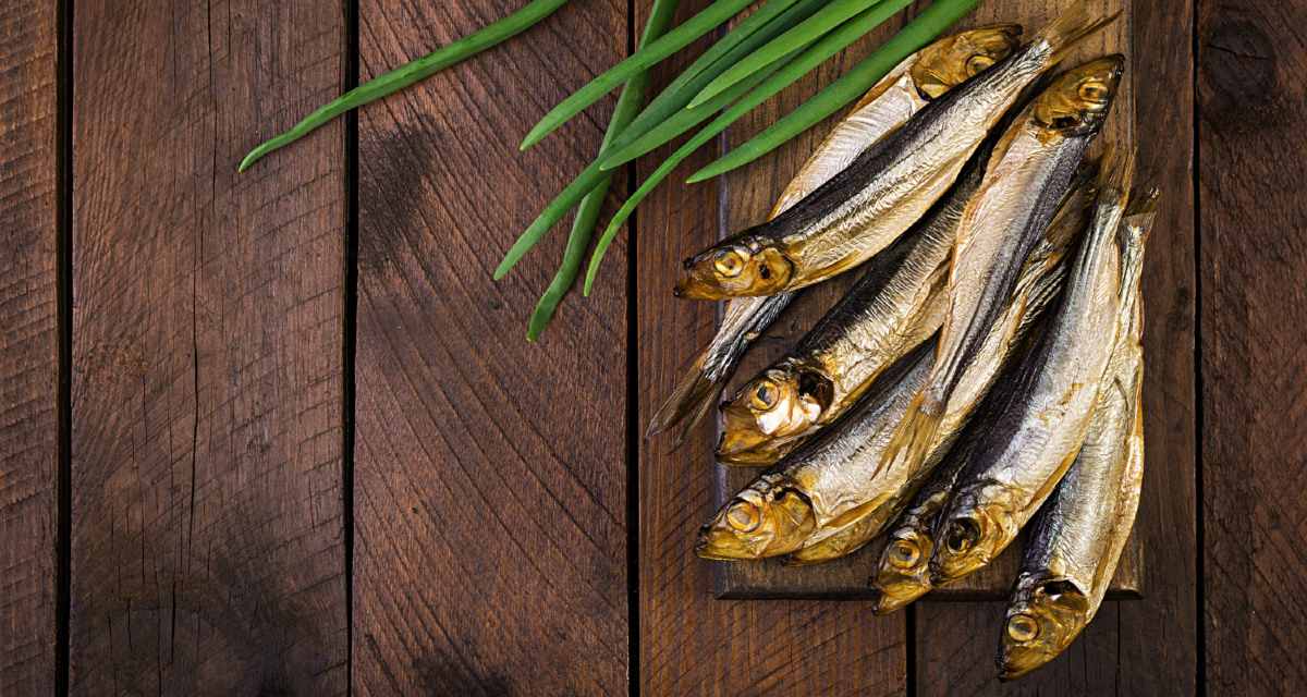 Anchova: benefícios, como fazer e como escolher - MundoBoaForma
