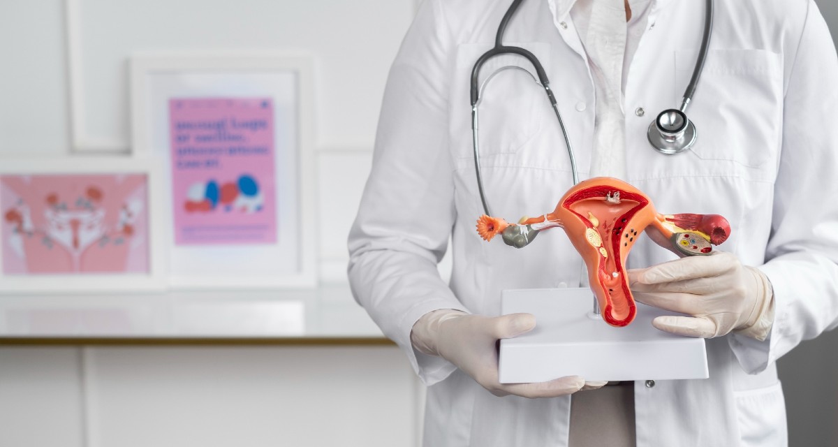 Bartolinectomia: o que é, como é feita e recuperação - MundoBoaForma