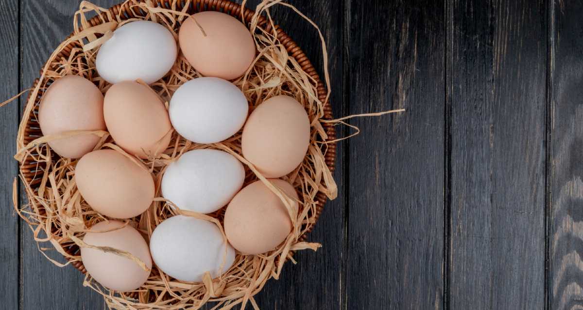 Ovo marrom ou ovo branco: Qual é a diferença e qual é o melhor ...