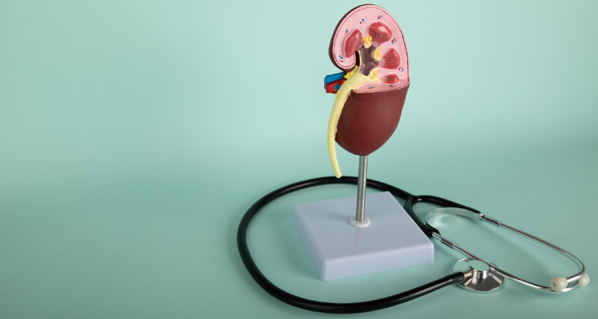 Uremia: o que é, sintomas, causas e tratamento - MundoBoaForma
