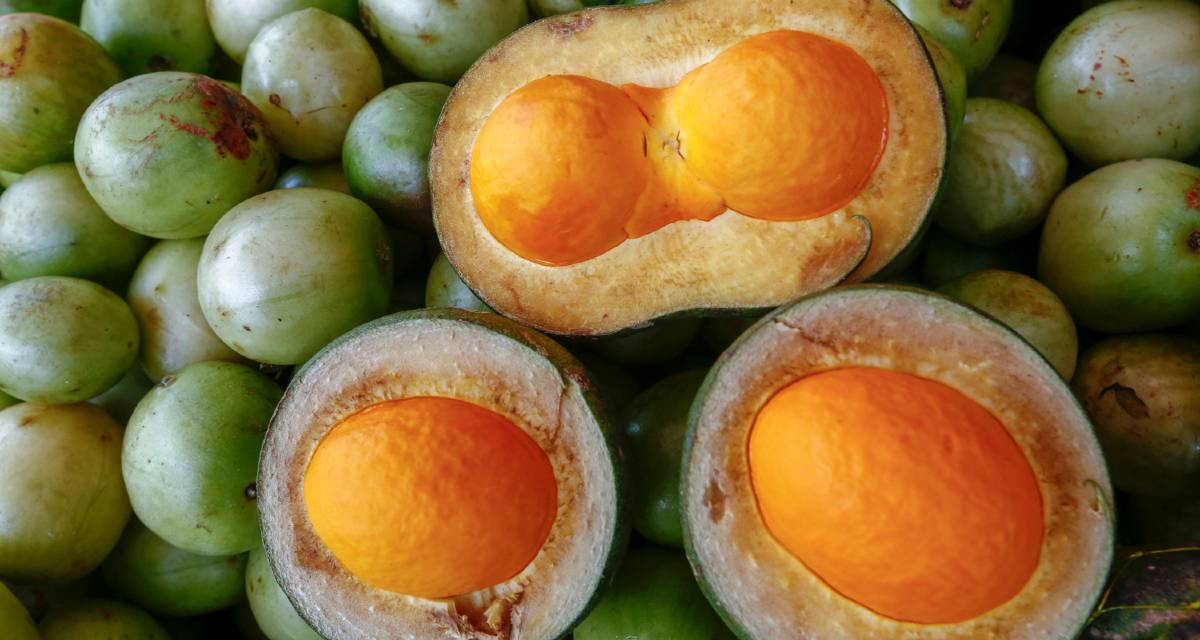 Pequi: o que é, benefícios, como fazer e receitas - MundoBoaForma