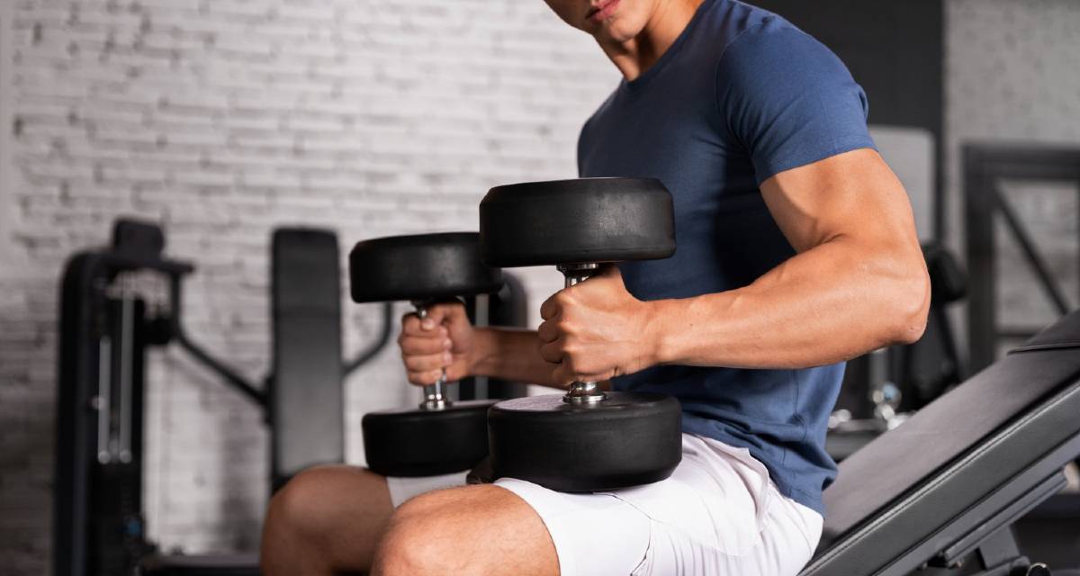 Rosca bíceps martelo com halteres no banco inclinado - Como fazer e ...