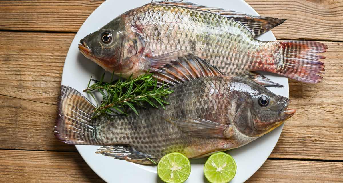 Mulher tem braços e pernas amputados após comer peixe mal passado ...