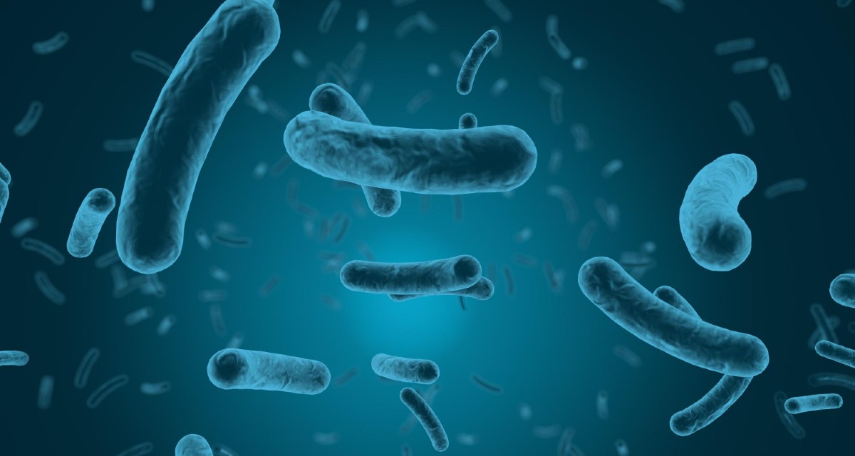 O que são pós-bióticos e o que podem fazer pelo seu intestino e saúde ...