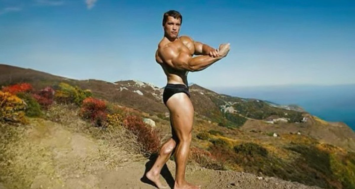 Arnold Schwarzenegger revela seus segredos para ganhar músculos e volume - MundoBoaForma