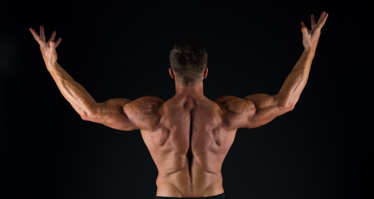 Exercícios para desenvolver um tronco em forma de “V” rapidamente ...