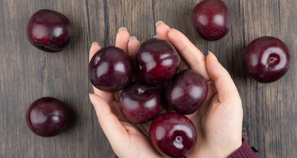 Diabético pode comer ameixa? - MundoBoaForma