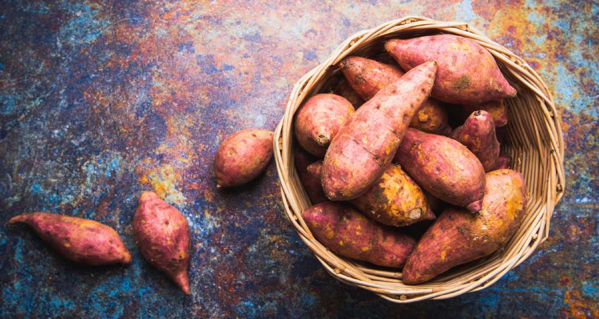 Batata doce todos os dias - 5 motivos e melhores formas de fazer ...