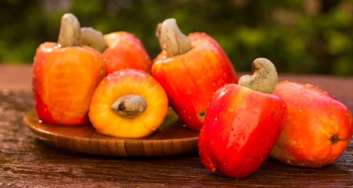 Por que o caju é incrível para o coração? Benefícios e como usar ...